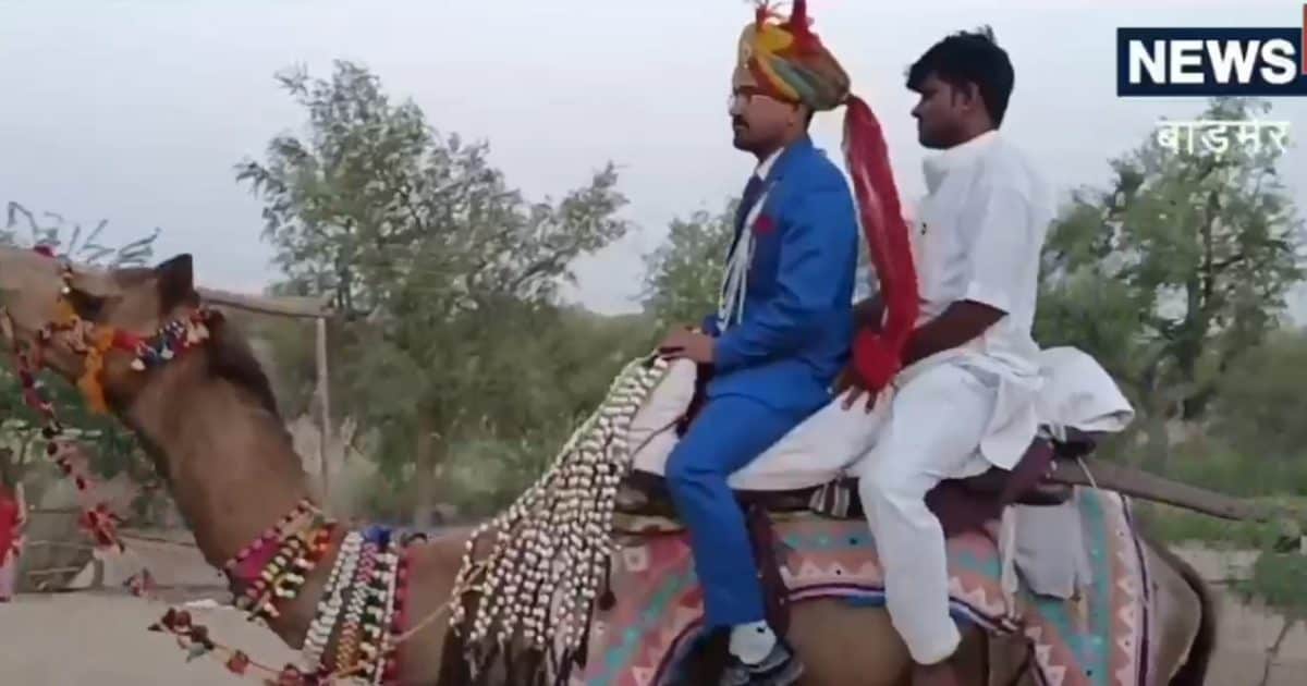 अनोखी शादी: ऊंट पर सवार होकर दुल्हन के दरवाजे पर पहुंचा दूल्हा ...
