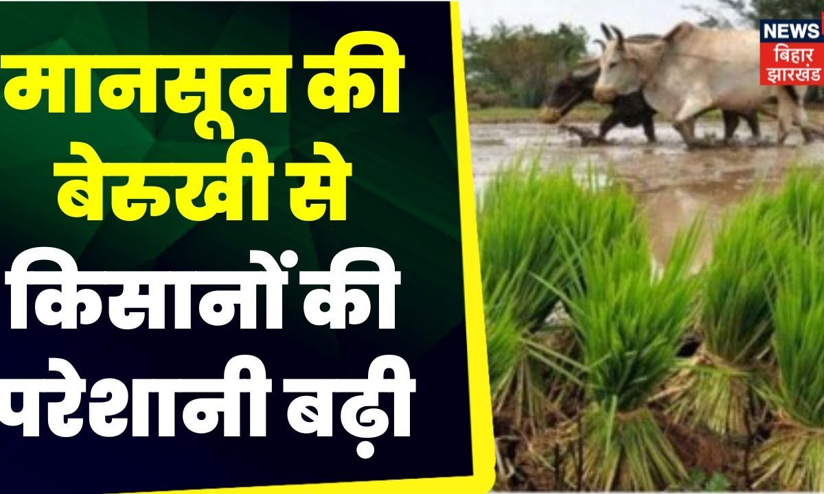 Bihar Monsoon :किसानों के लिए मुसीबत बना मानसून। Weather News | Top ...