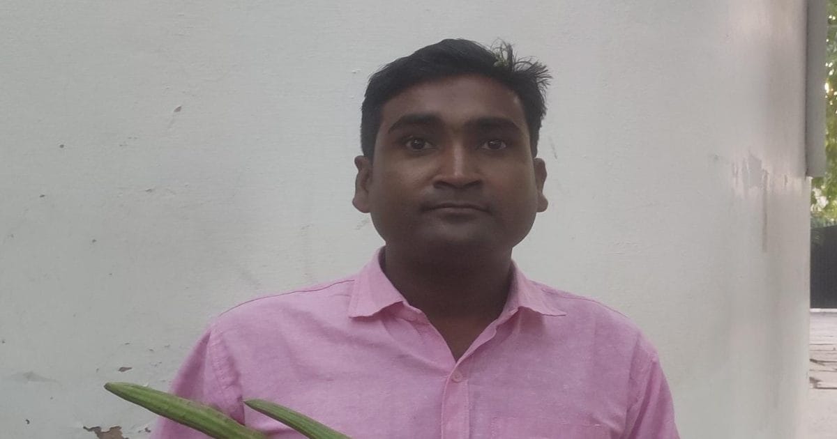 पूरे साल फल देने वाला मुनगा का पेड़ है स्वास्थ्य के लिए लाभकारी, जानें ...