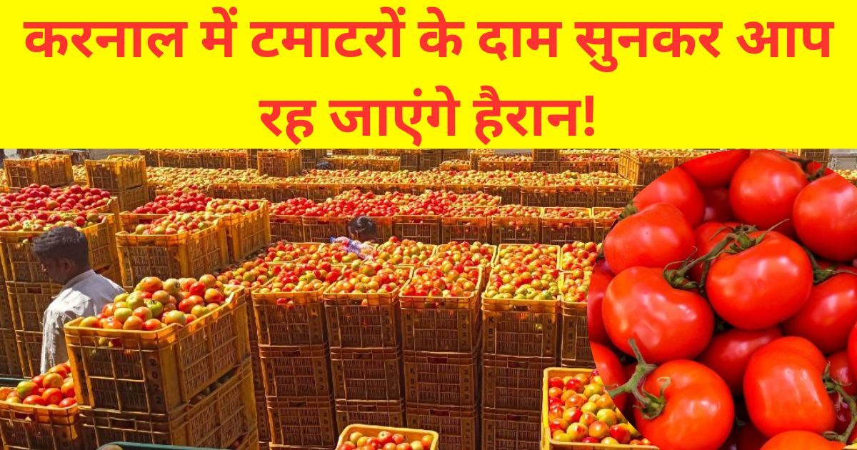 Tomato Price Hike : महंगाई की मार से ग्राहक परेशान ! मानसून की दस्तक के साथ टमाटर के तेवर लाल ...