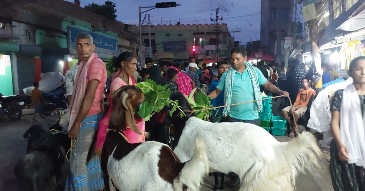 Eid al-Adha 2023: सलमान, अल्ताफ और गुलजार से बाजार 'गुलजार', भागलपुर ...