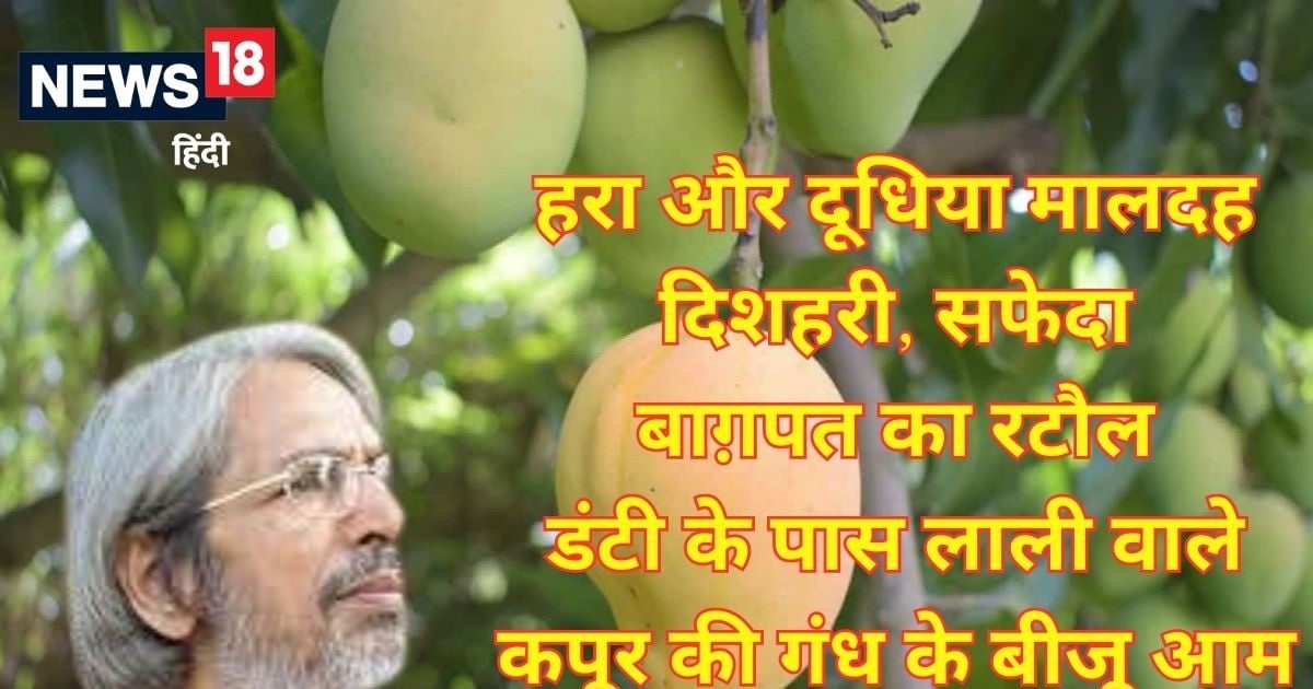 आम के मौसम में पढ़ें आलोक धन्वा की कविता- भारतवासी होने का सौभाग्य, तो ...