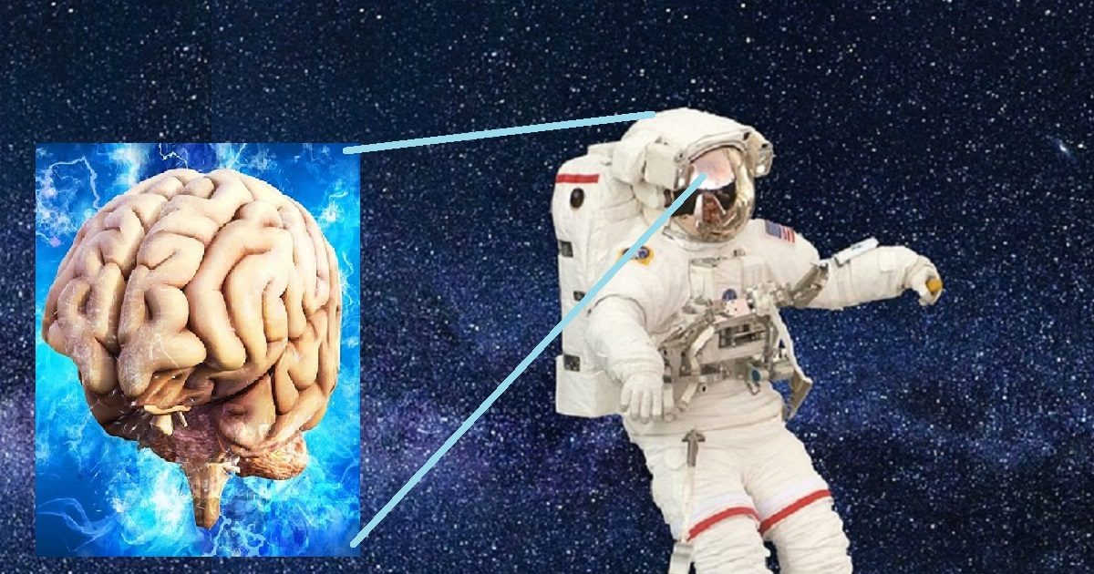Spaceflight cause structural changes in the human Brain - इंसानी दिमाग ...