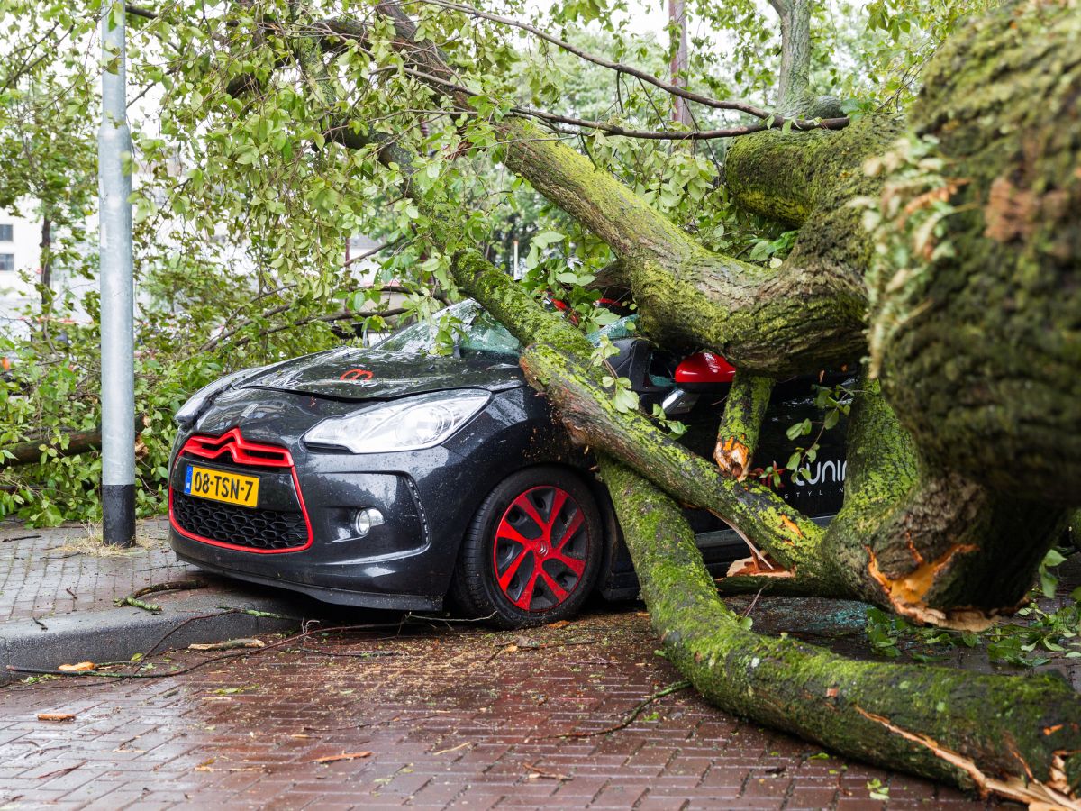 Does insurance company provide new car if damaged in biparjoy cyclone ...