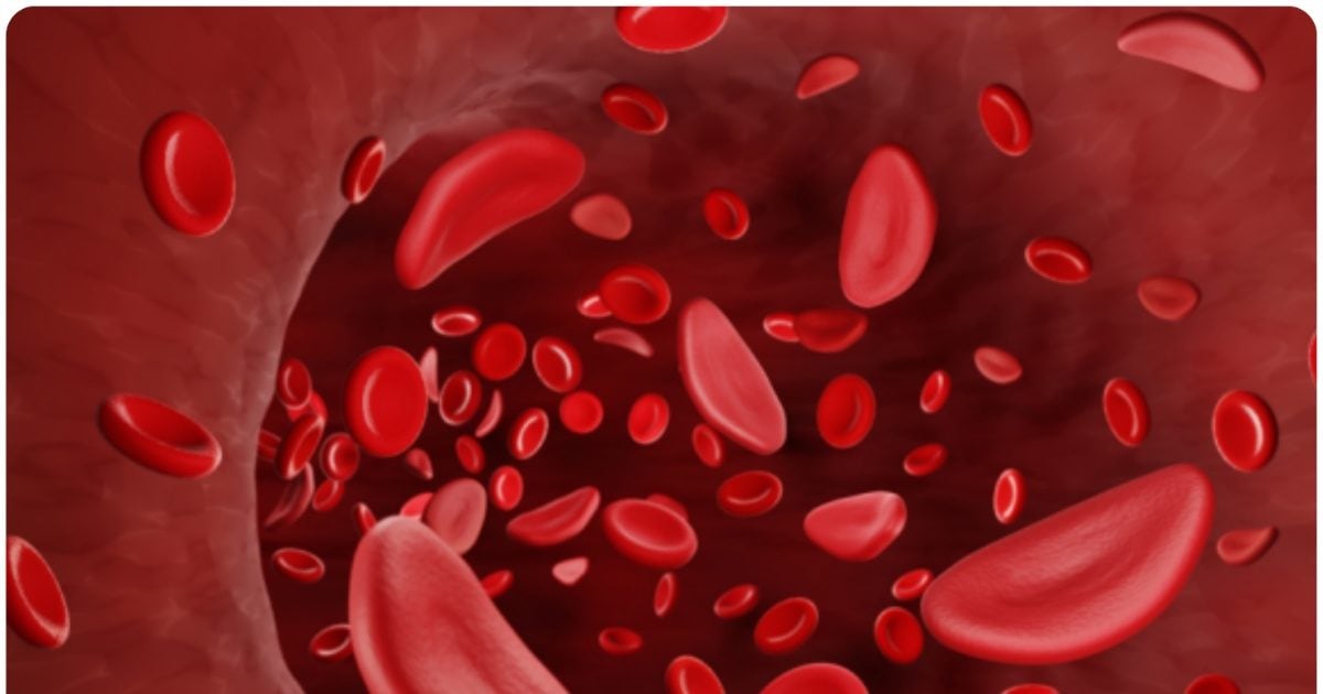 कुछ जीवों का रक्‍त लाल क्‍यों नहीं होता है? कैसे बनता है अलग रंग का ब् ...