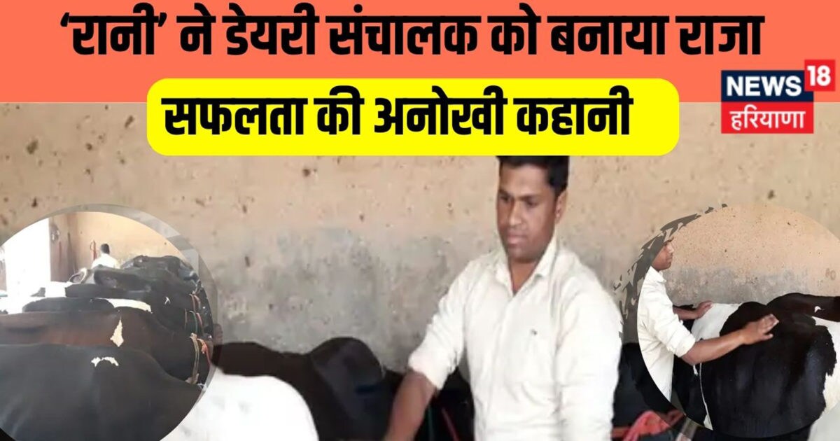 अनोखी कहानी: 'रानी' ने मोहम्मद अजमेर को बनाया 'राजा', गौ पालन से युवक ...