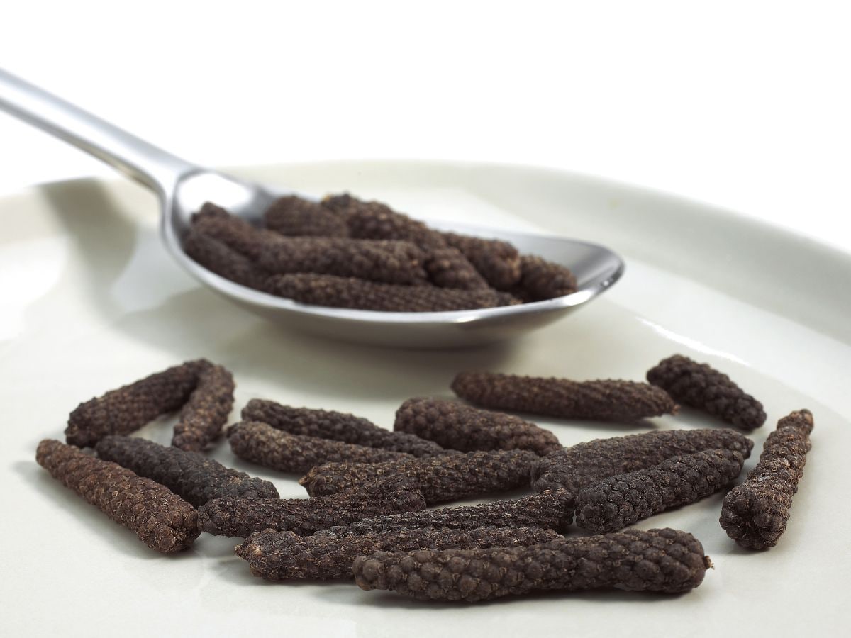 स्वाद का सफ़रनामा: ब्लड ग्लूकोज़ कंट्रोल करती है पिपली, लिवर के लिए भी ...