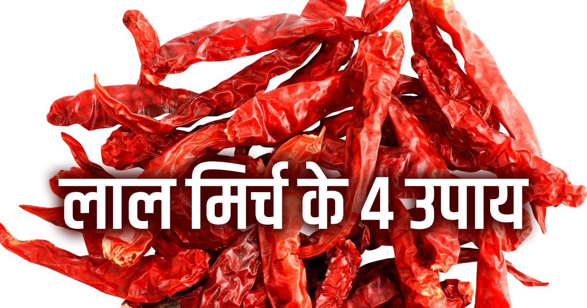 लाल मिर्च के 4 चमत्कारिक उपाय अपनाएं, सफलता के खुल जाएंगे द्वार, कई ...