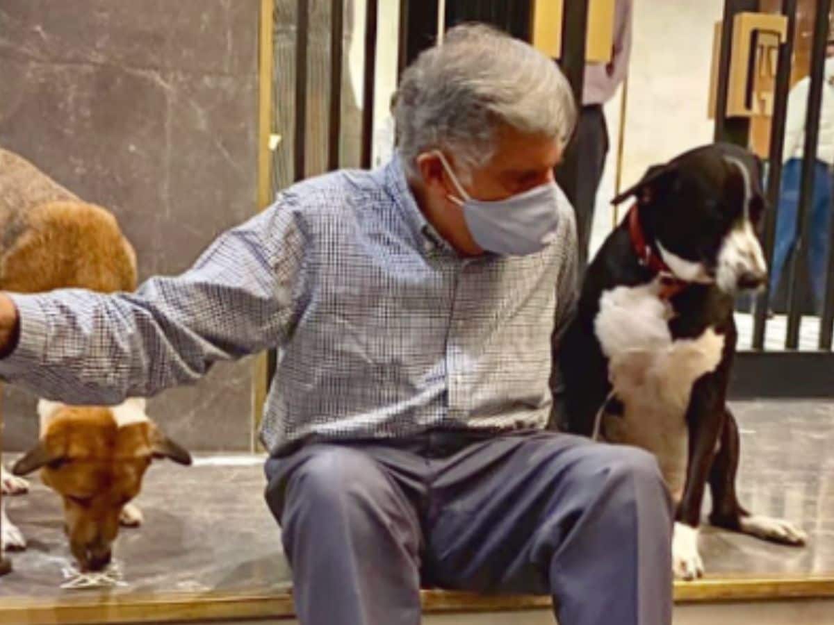 कौन है रतन टाटा के साथ साये की तरह रहने वाला ये लड़का? बिजनेस, इन्‍वेस् ...