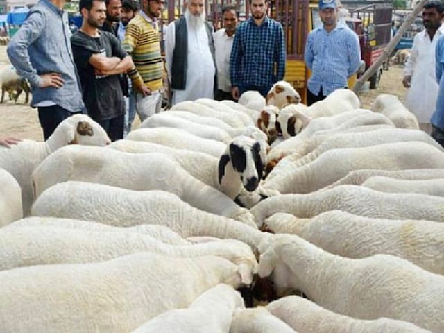 Bakrid2023 : बकरीद पर क्यों दी जाती है बकरे की कुर्बानी? कैसे मीठी ईद ...