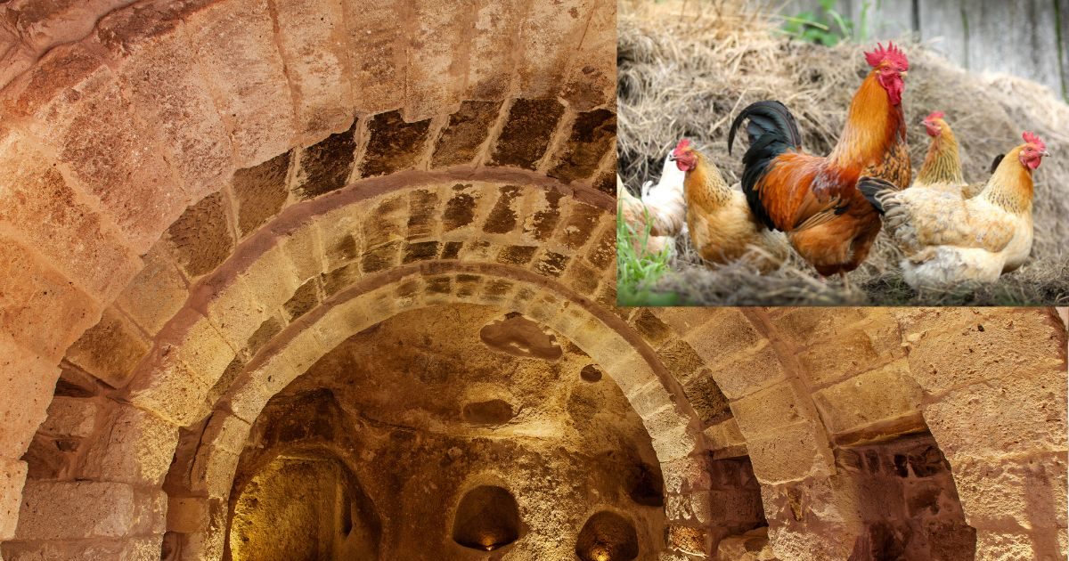 मुर्गों का पीछा कर रहा था शख्स, पहुंचा 2000 साल पुराने शहर में! दिलचस्प ...