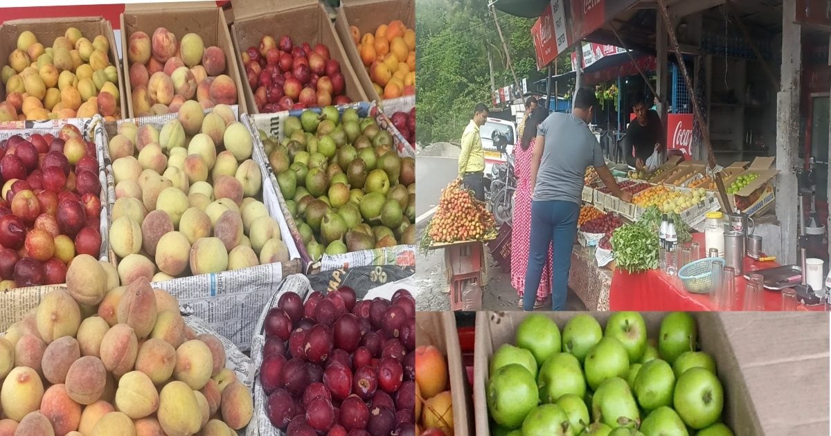 यहां होता हैं फलों का सबसे अधिक उत्पादन, उत्तराखंड के सभी पहाड़ी फल है ...