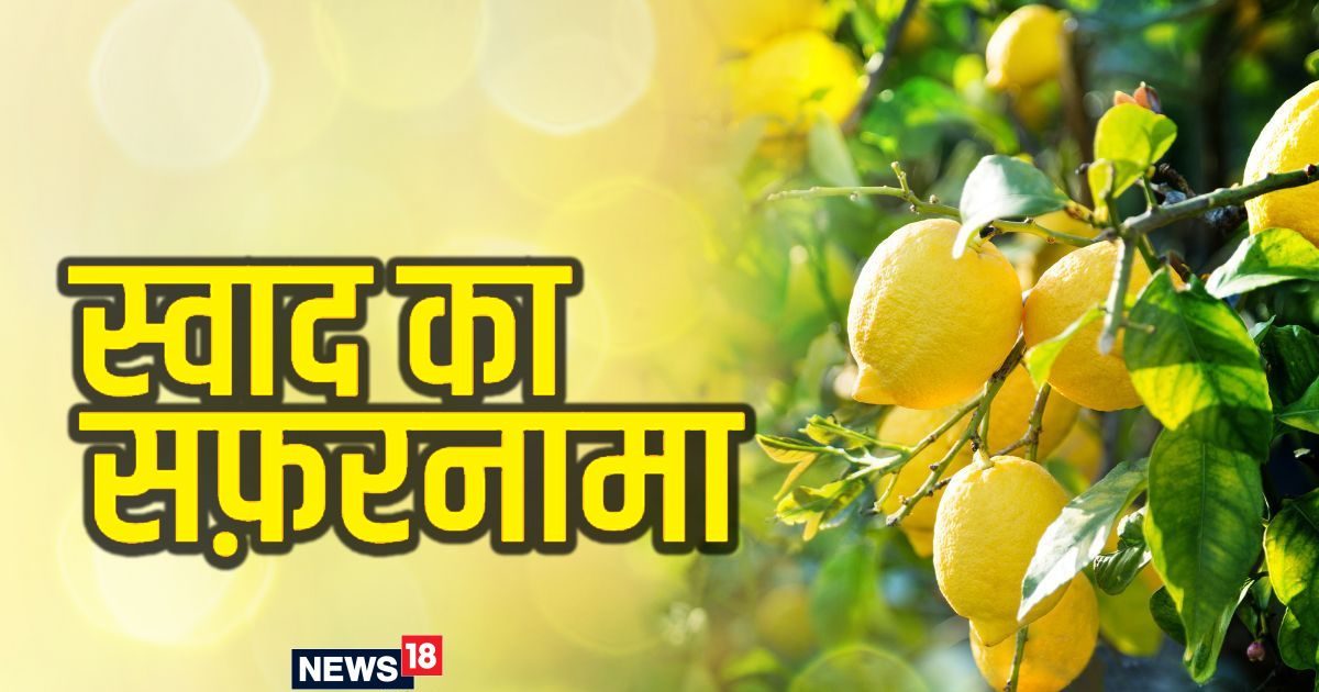 स्वाद का सफ़रनामा: दिल के लिए लाभकारी है गलगल, डाइजेशन भी रखता है ...