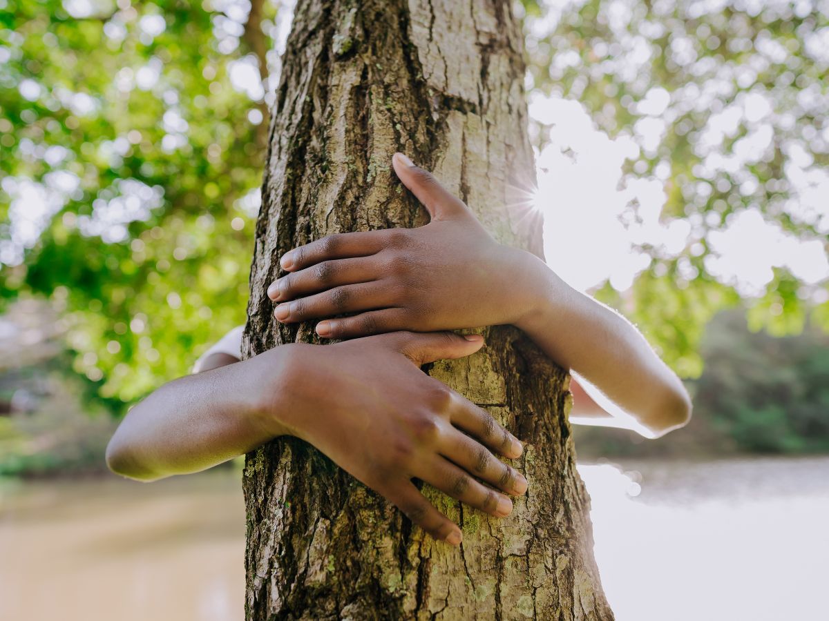 Tree Hugging: पेड़ को देती है 'जादू की झप्पी'! महिला ने स्वस्थ रहने का खोजा अजीब तरीका, लोगों को ...