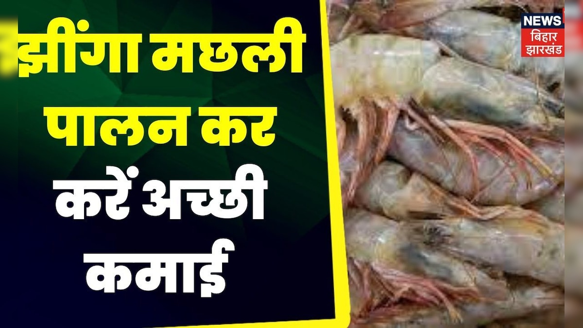 Annadata : झींगा मछली पालन कर करें अच्छी कमाई | Farming in India ...