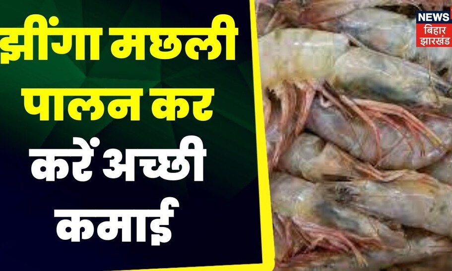 Annadata : झींगा मछली पालन कर करें अच्छी कमाई | Farming in India ...
