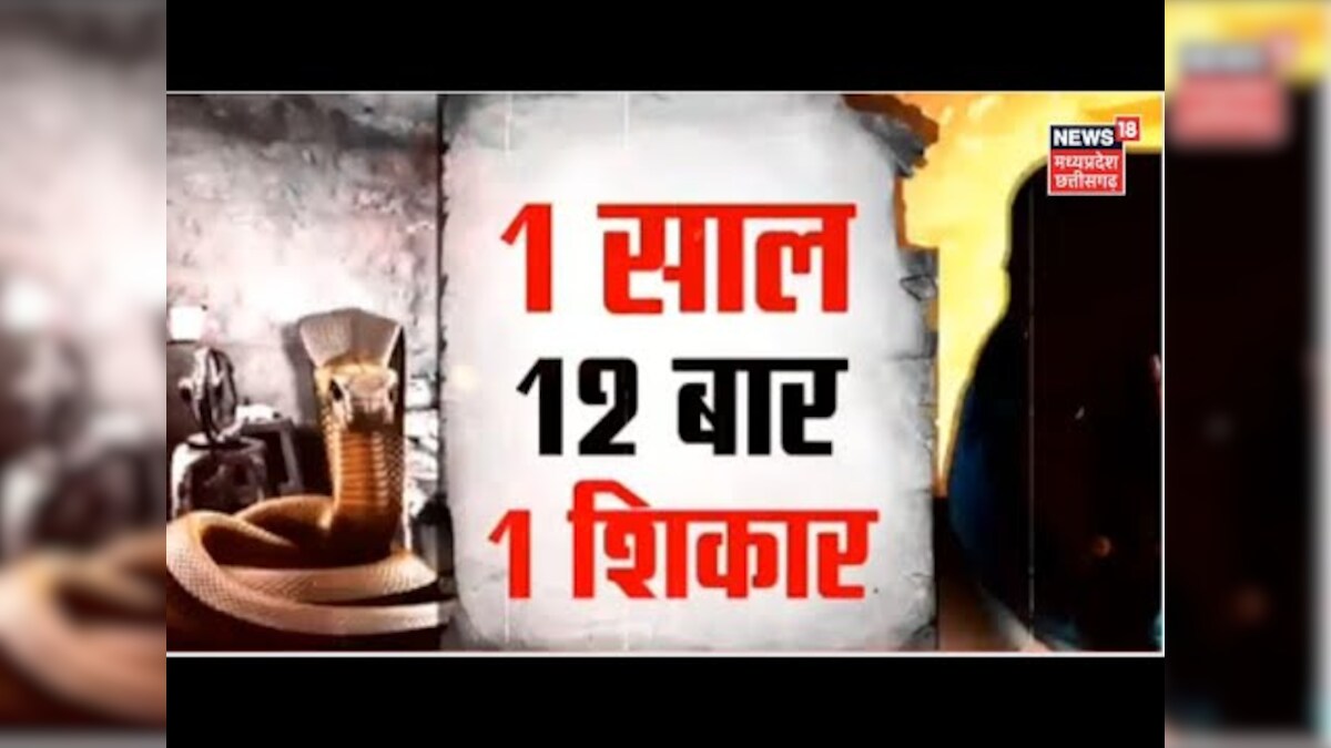 Mandla : इस महिला को कांटते हैं अलग-अलग सांप | Latest News | Top news ...