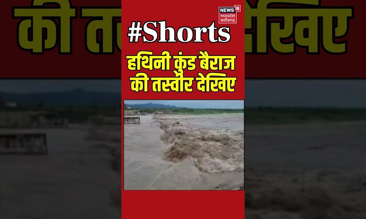 Hathini kund Vairaj ki picture | #shorts #short #flood – News18 हिंदी