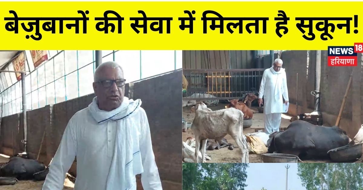बेसहारा, बेज़ुबान जानवरों के लिए फरिश्ता बने रामेश्वर दास सैनी, साधु ...