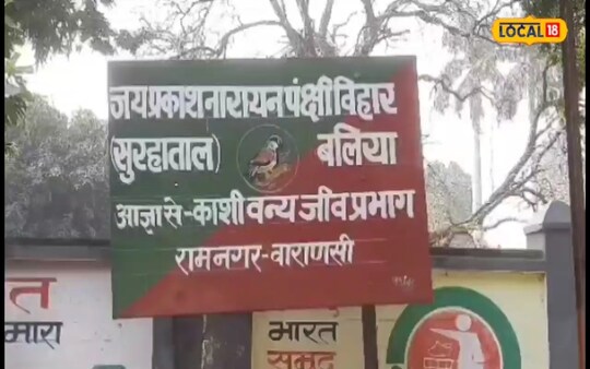 बलिया के सुरहा ताल को कहा जाता है जलीय जीवों और पक्षियों का स्वर्ग ...