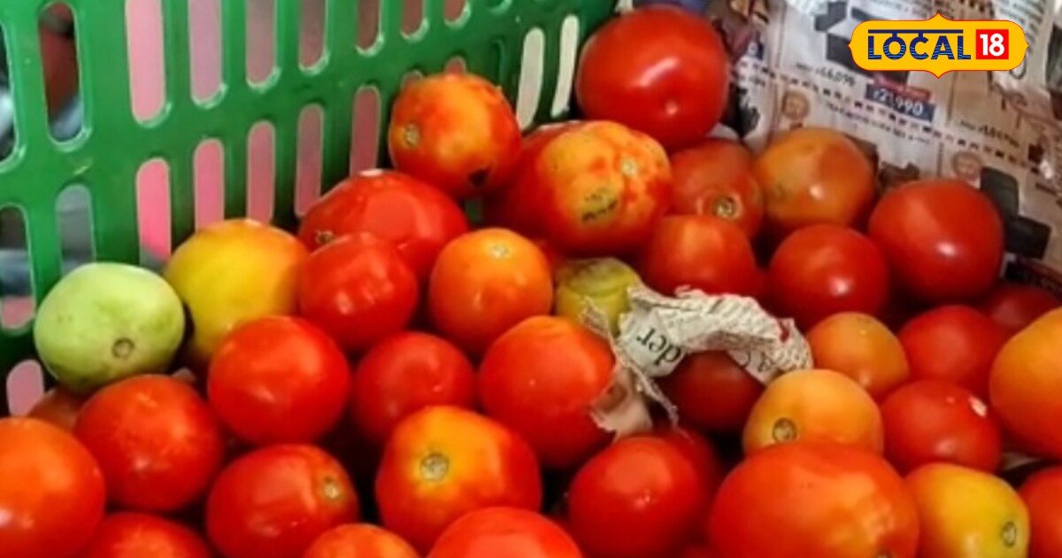Tomato Price Hike : टमाटर की बढ़ती कीमतों के बीच योगी सरकार ने उठाया बड़ा कदम! उपभोक्ताओं को ...