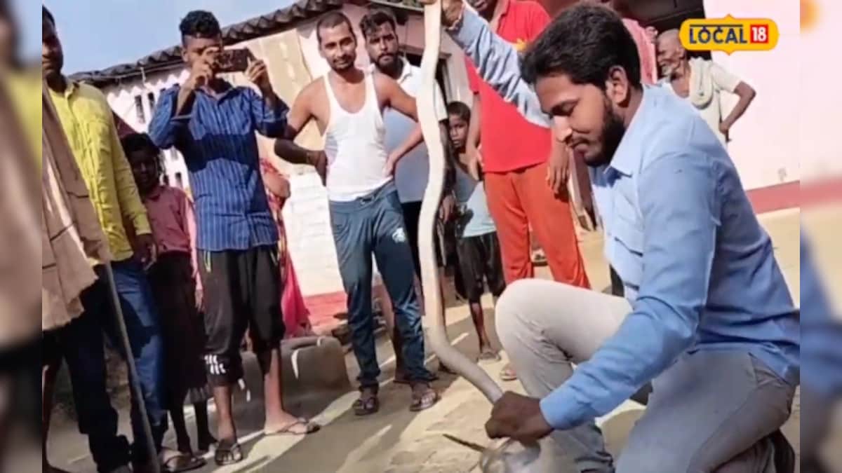 सांपों का 'दोस्त' है यह शख्स! अब तक 5000 विषधरों का रेस्क्यू कर घने जंगल में छोड़ा - Snake ...