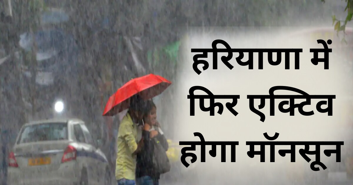Haryana Weather Forecast: मॉनसून फिर हो रहा सक्रिय, 17 जुलाई से 20 तक ...