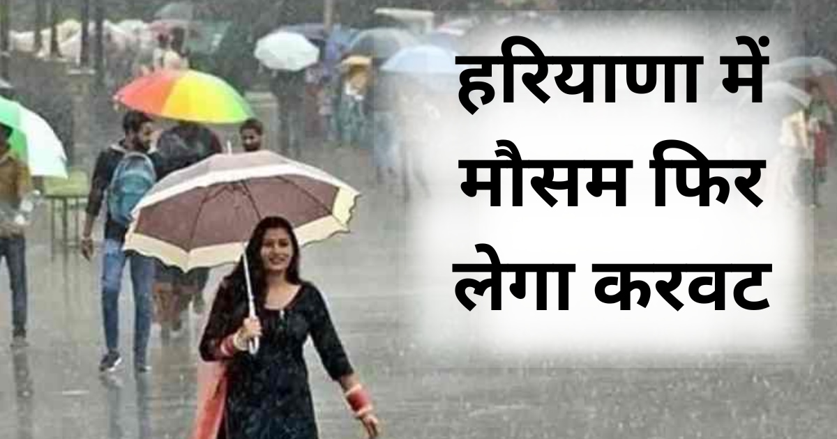 Haryana Weather Update: 22 जुलाई की रात मॉनसून के सक्रिय होने के आसार ...