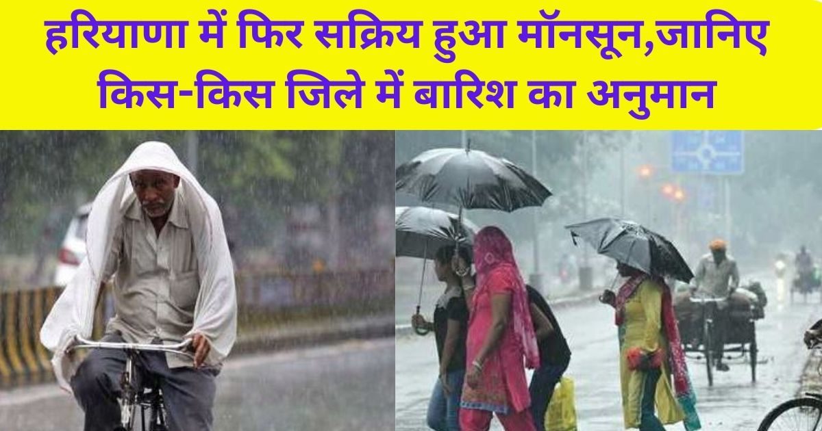 Haryana Weather Update: हरियाणा में फिर सक्रिय हुआ मानसून, इन जिलों में ...