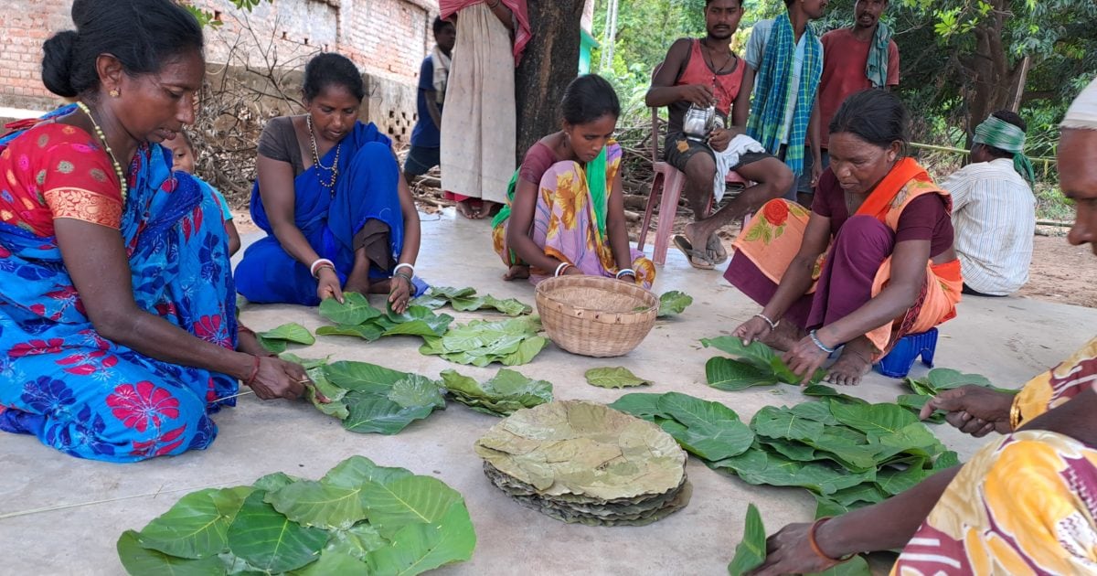 भोज के साथ पूजा-पाठ व कर्मकांड में होता है सखुआ के पत्तल का इस्तेमाल ...