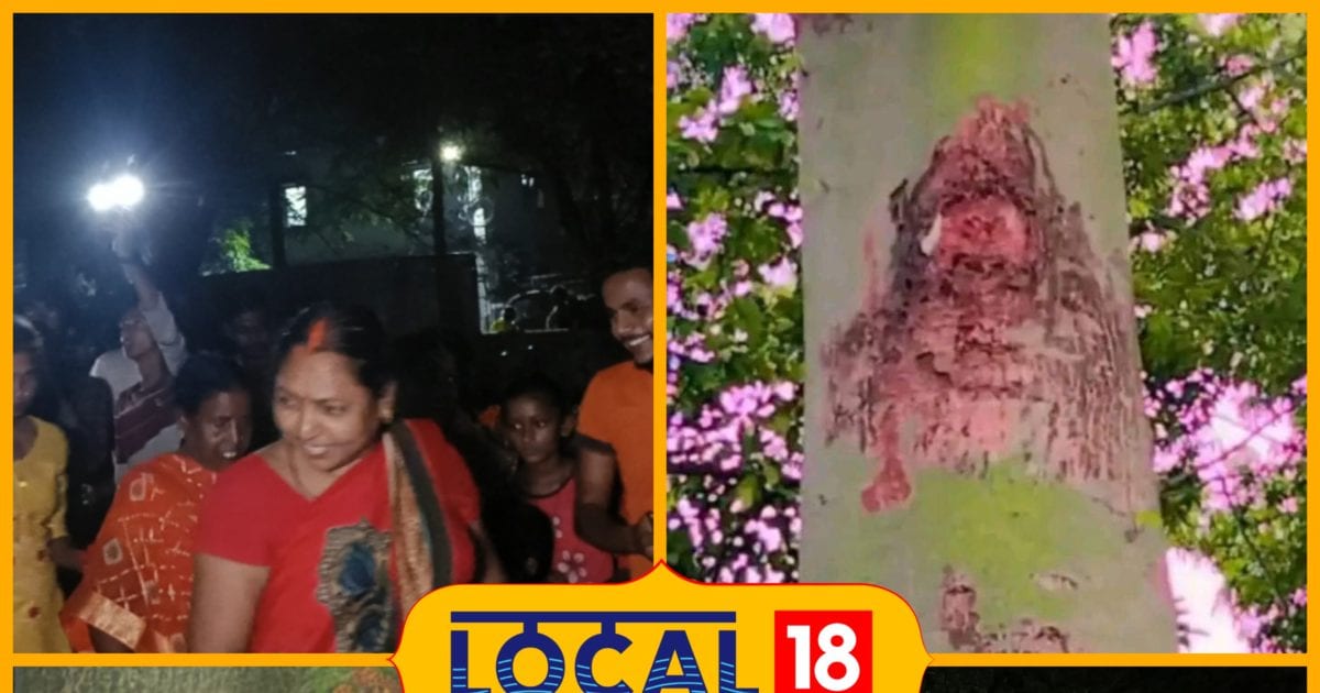 OMG! सिमर के पेड़ में दिखी भगवान शिव और गणेश जैसी आकृति! दर्शन के लिए ...