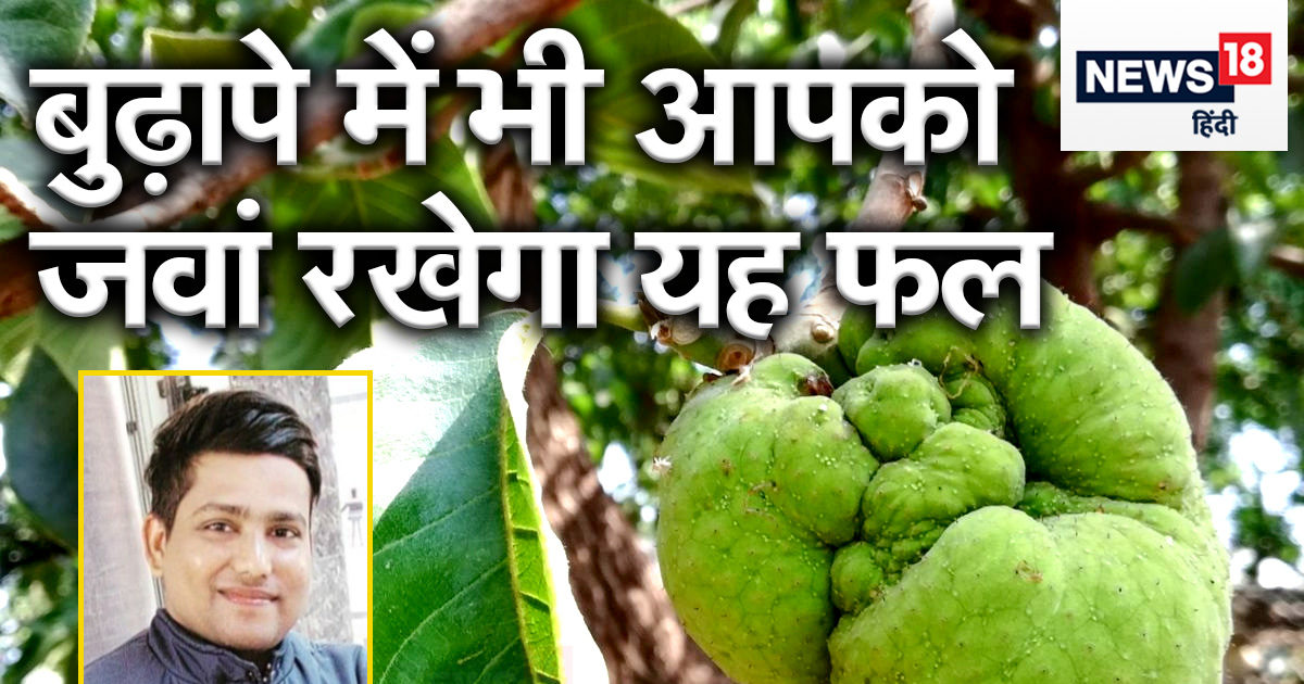 बेहद करामाती है ये फल, कीमत सिर्फ 5 रुपये, सेवन करने से उम्र तो बढ़ेगी ...