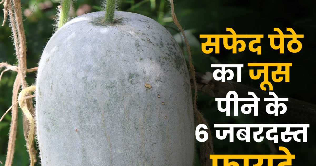 तेजी से वजन घटाने के लिए डेली पिएं इस सब्जी का जूस, पेट भी रखे साफ, 6 ...