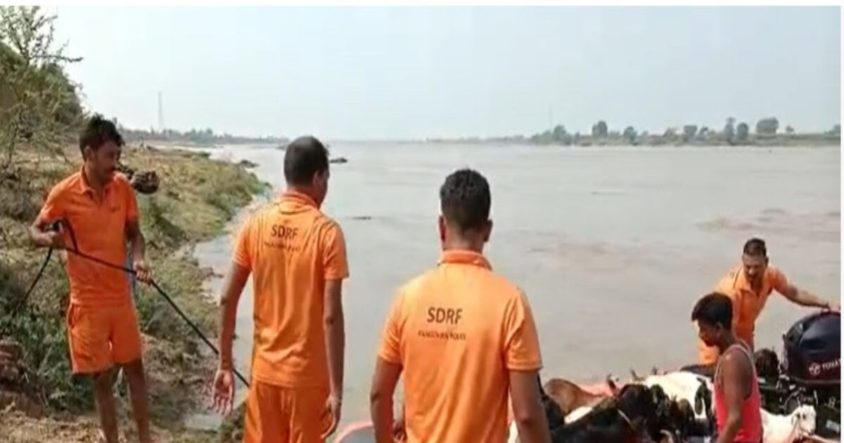 राजस्थान: बारां में भारी बारिश के कारण 2 चरवाहे और 50 बकरियां टापू पर फंसी, SDRF ने किया ...