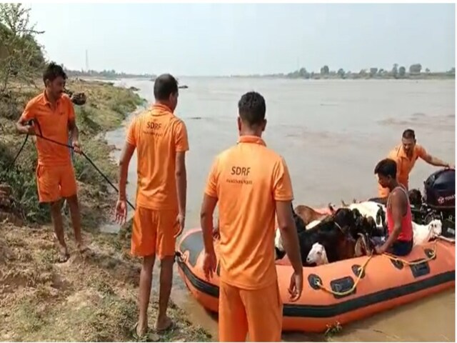 राजस्थान: बारां में भारी बारिश के कारण 2 चरवाहे और 50 बकरियां टापू पर फंसी, SDRF ने किया ...