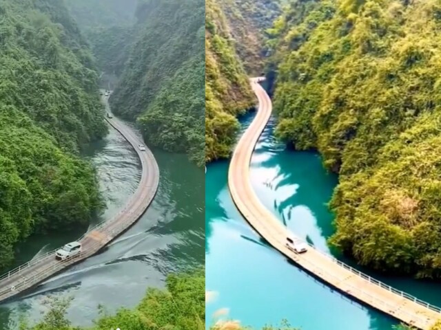 Floating Bridge: यहां पानी पर दौड़ती हैं कारें, जंगल में बना है जादुई ...