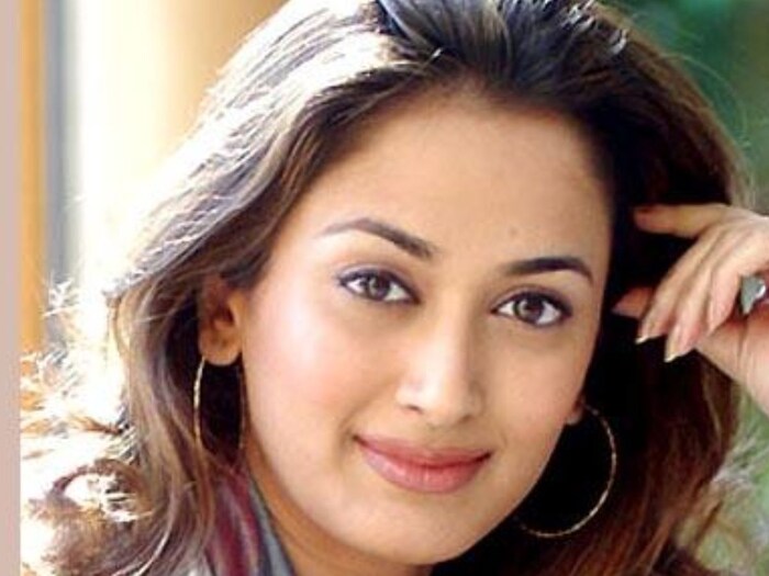 - Shah Rukh Khan co star Gayatri Joshi who married with Rs 28000 crore ...