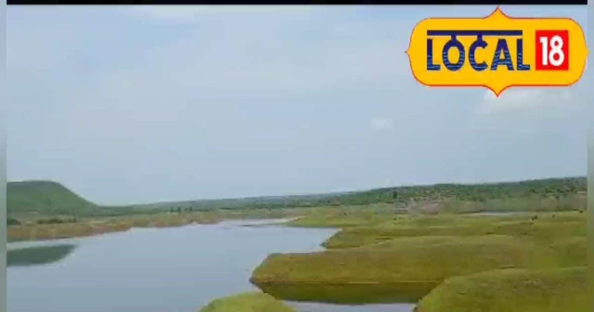 ये बांध पानी कम होने पर बन जाता है सुंदर पर्यटन स्थल, मिनी ...