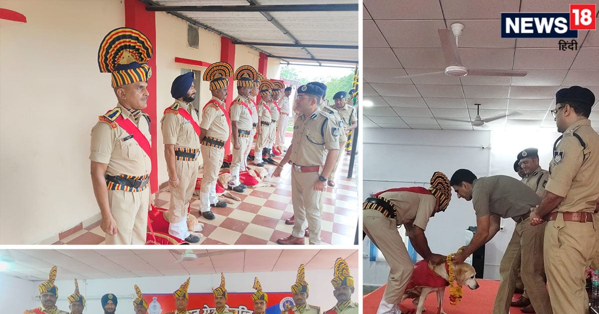 MP Police Dog Retirement: कई बड़ी वारदातों का किया पर्दाफाश, 10 डॉग हुए ...