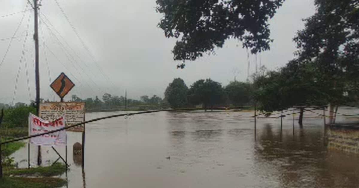 MP Rain Alert: मंडला, बालाघाट, सहित 14 जिलों में होगी भारी बारिश, नदी नाले उफान पर, ऑरेंज-येलो ...