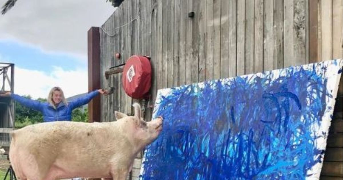 सुअर नहीं आर्टिस्ट कहिए जनाब! जानवर ने बनाई पेंटिंग, खरीदने की लग गई ...