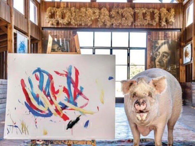 सुअर नहीं आर्टिस्ट कहिए जनाब! जानवर ने बनाई पेंटिंग, खरीदने की लग गई ...
