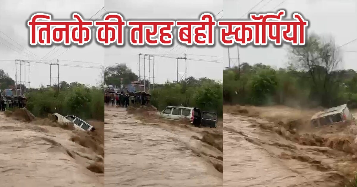 Himachal Rain Fury: हिमाचल में मॉनसून के रौद्र रूप का खौफनाक VIDEO, बारिश से ऊफान पर स्वां नदी ...