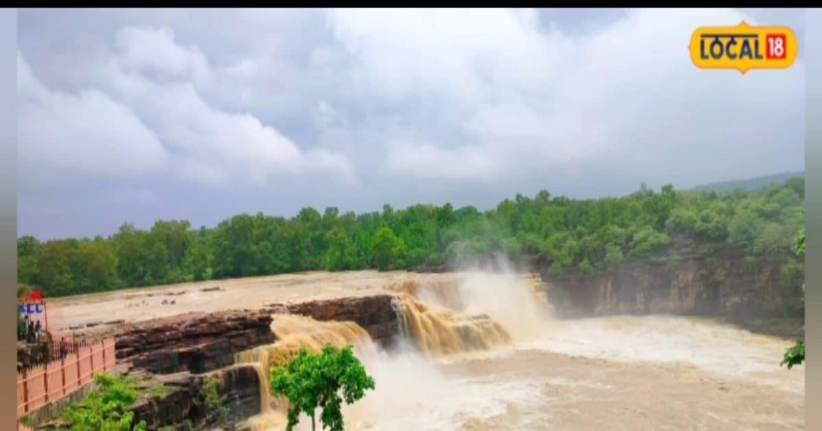 बारिश के बाद राहतगढ़ वाटरफॉल की खूबसूरती बढ़ी, एन्जॉय करने पहुंच रहे ...