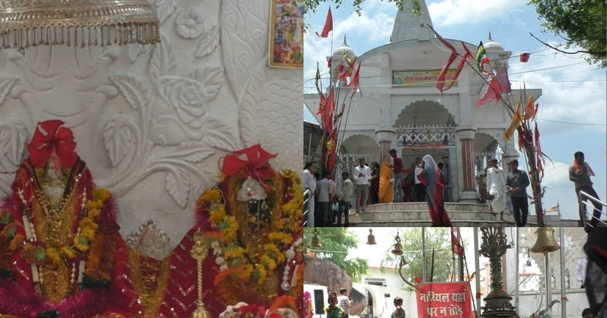 PHOTOS: इस मंदिर में नहीं चलता कोबरा-ब्लैक मांबा जैसे जहरीले सांपों का ...