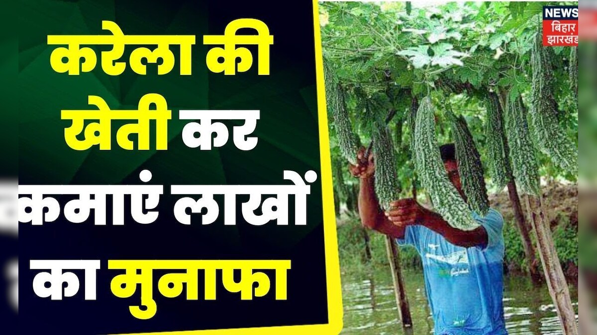 Karela Farming : करेला की खेती कर कमाएं लाखों का मुनाफा | Annadata ...