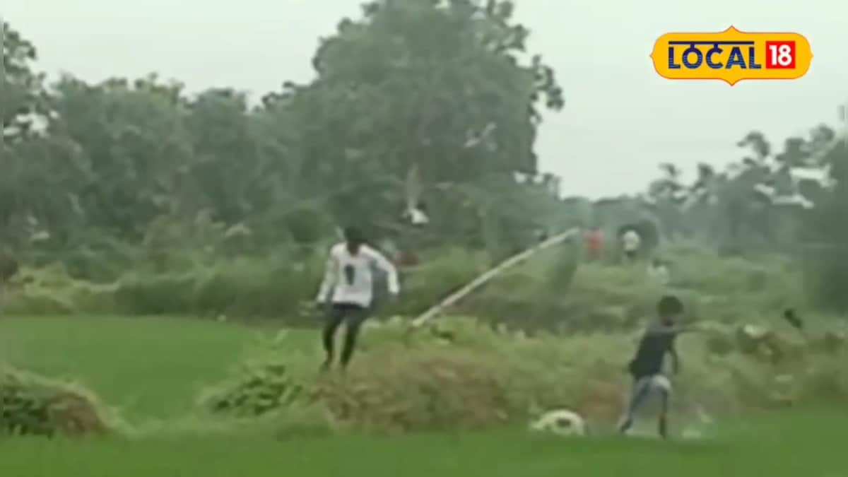 गुस्से में गजराज! खेत में काम कर रहे ग्रामीणों को आक्रामक हाथी ने ...
