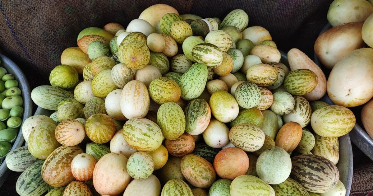 इस सब्जी की दीपावली में होती है पूजा, इसकी चटनी कई बीमारियां करती है ...