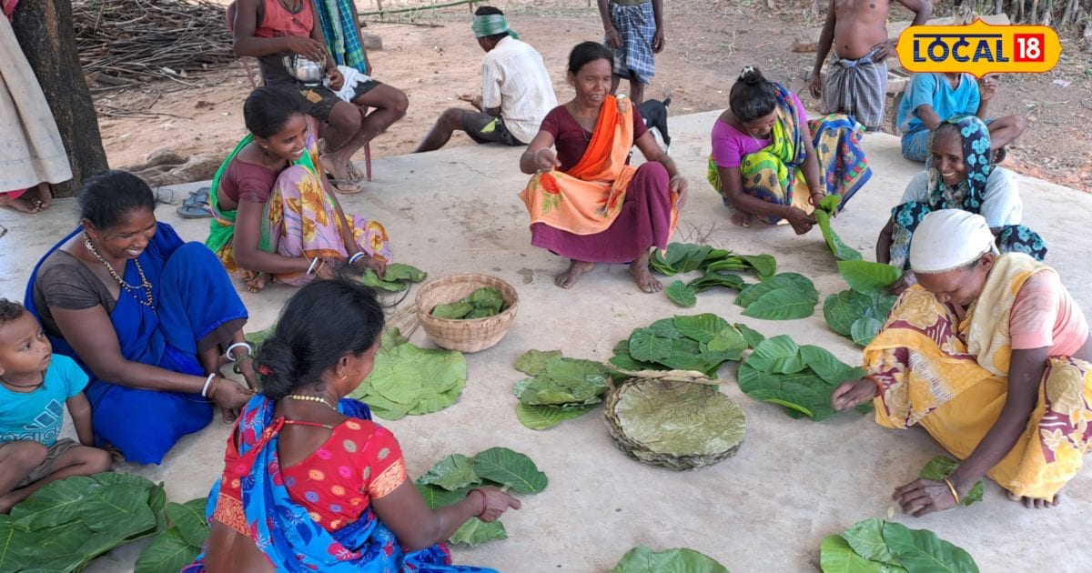 शुभ माना जाता है सखुआ का पत्ता, पूजा-पाठ, कर्मकांड और भोज में होता है ...