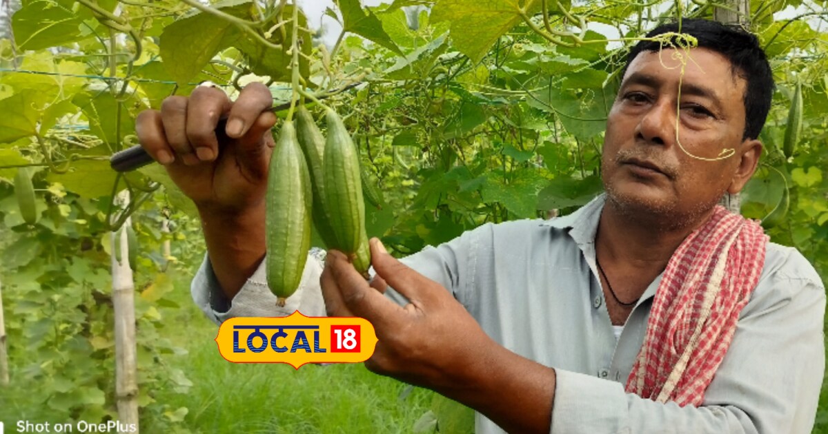 इस सब्जी की खेती से किसान हो गया मालामाल, एक महीने में हो रही एक लाख ...